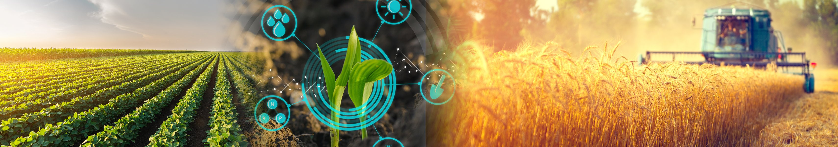 Agronomy and agriculture - Category - FUN MOOC