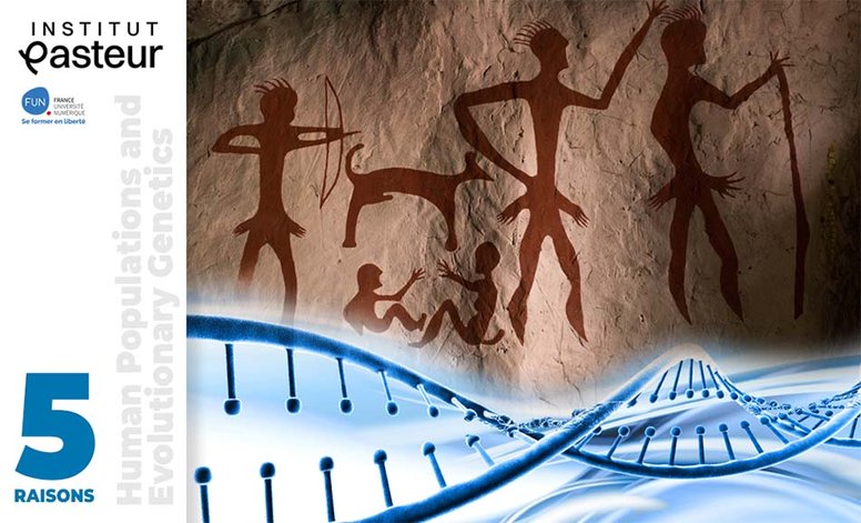 human genetics course